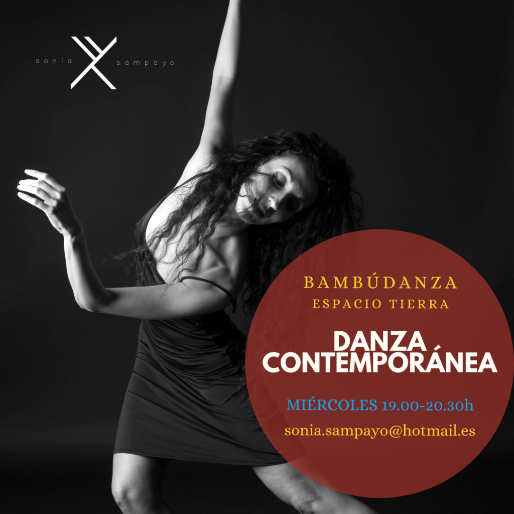 Clases Regulares Sonia Sampayo - Sonia Sampayo